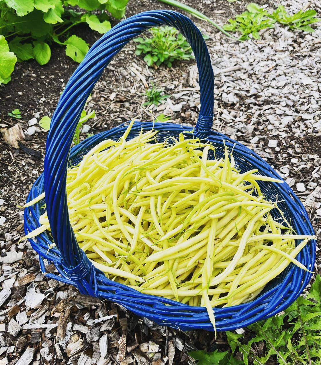 Home | Smith Park LLC