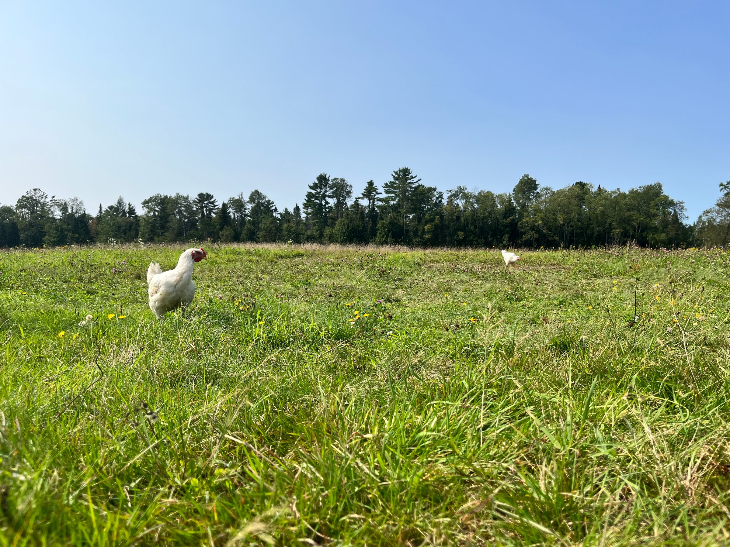 Home | Smith Park LLC